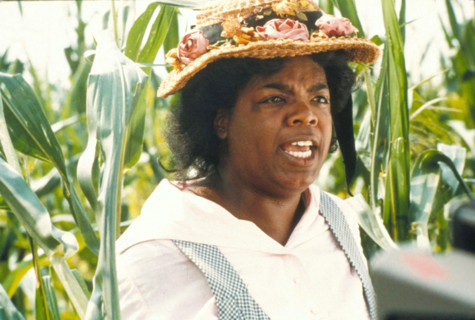 A Cor Púrpura: Final Explicado | Celie Se Reencontra Com Nettie E Seus ...